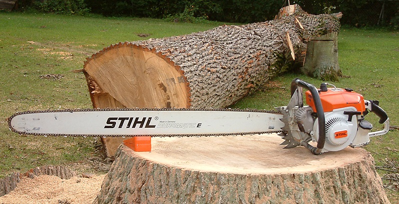 Key Tree Trimming Tools for Pruning and Shaping Your Garden – Green Tree Co